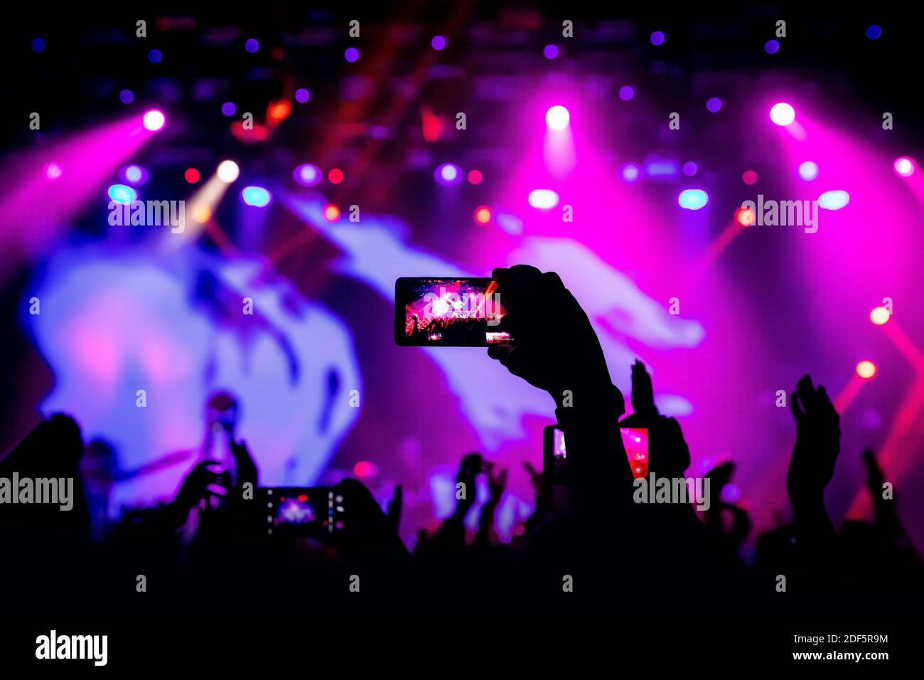 Smartphone in hand at a concert, purple light from stage Stock Photo ...