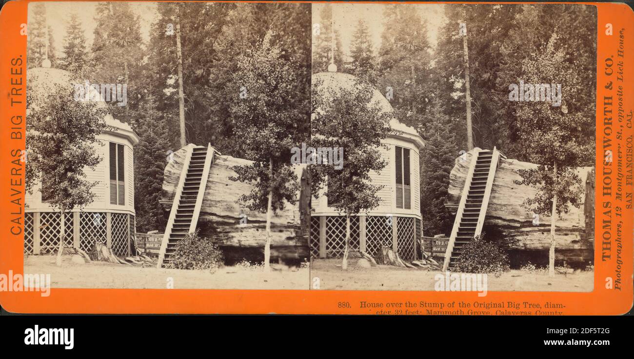 House over the stump of the original Big Tree, diameter 39 feet ...