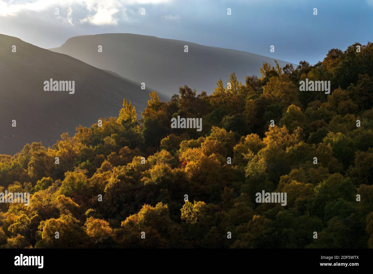 Valley of dee braemar valley of dee braemar hi-res stock photography ...