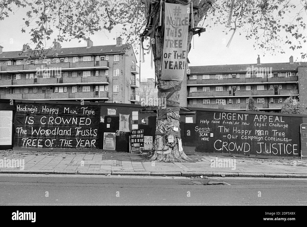 Happy man tree hackney hi-res stock photography and images - Alamy