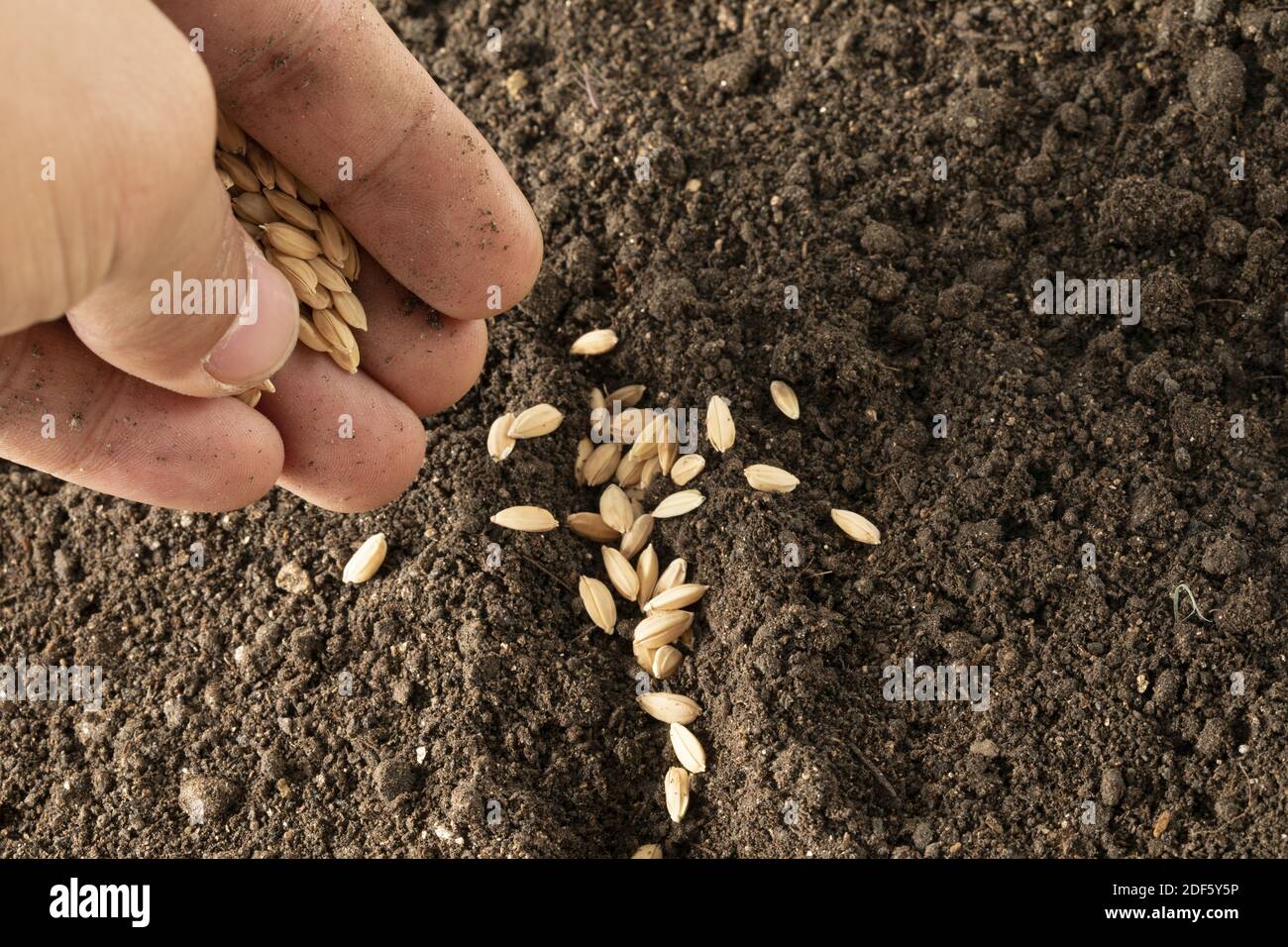 Sifting soil hi-res stock photography and images - Alamy