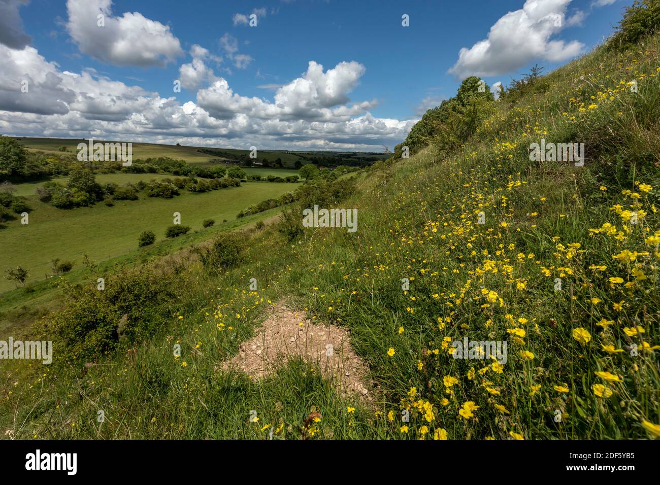 Wiltshire wildlife trust hi-res stock photography and images - Alamy