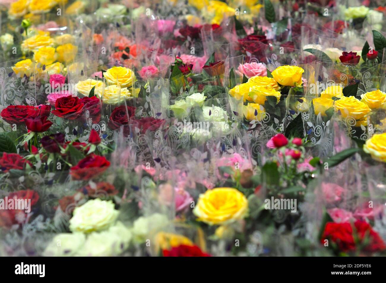 beautiful bouquets of live roses of different flowers. Flower shop ...