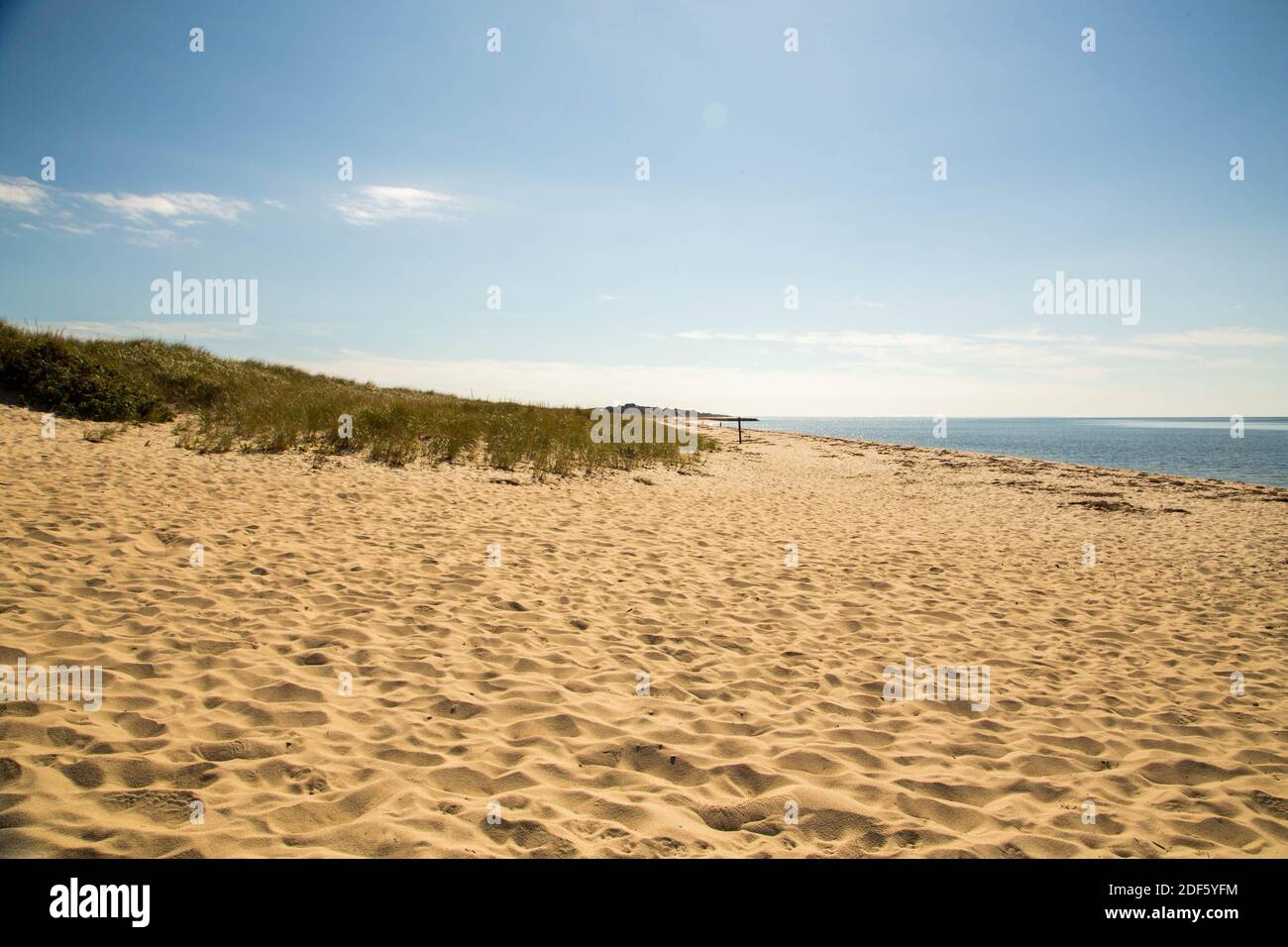 Beach, Cape Cod, MA Stock Photo - Alamy