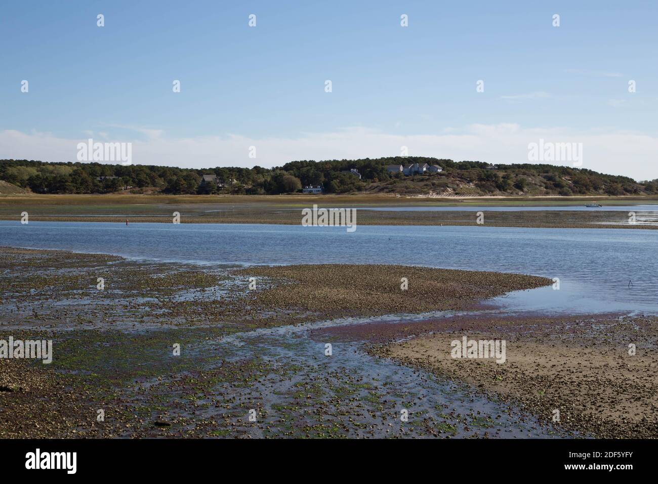 Beach, Cape Cod, MA Stock Photo - Alamy