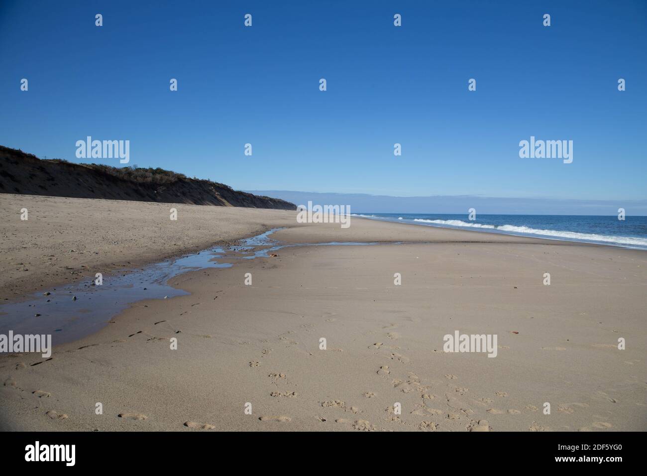 Beach, Cape Cod, MA Stock Photo - Alamy
