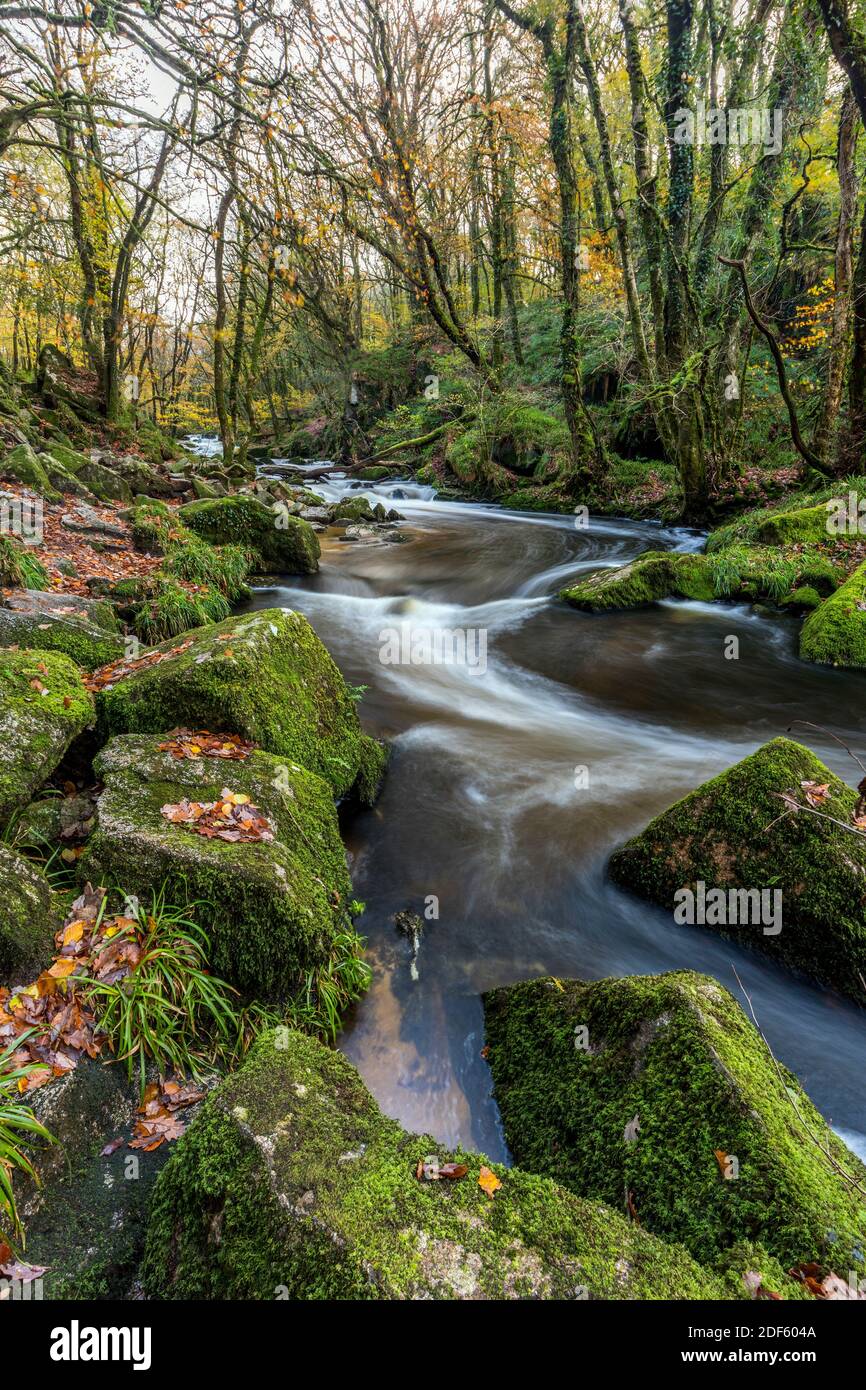 Golitha Falls; River Fowey; Cornwall; UK Stock Photo - Alamy