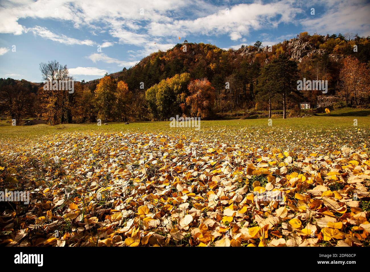 autumn in nature. color autumn Stock Photo - Alamy