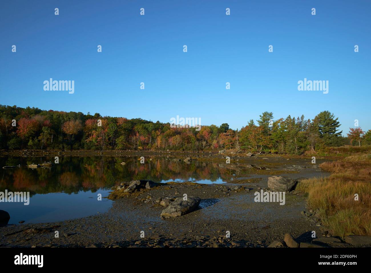 Low tide on Union River bay at the Surry town warf, cove on a bright ...