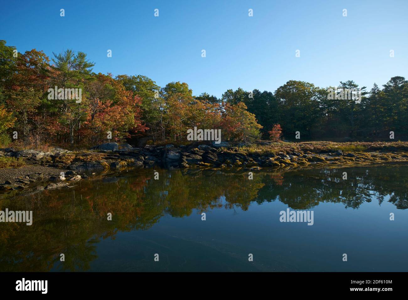 The reflection of Union River bay with a sitting seagull at the Surry ...