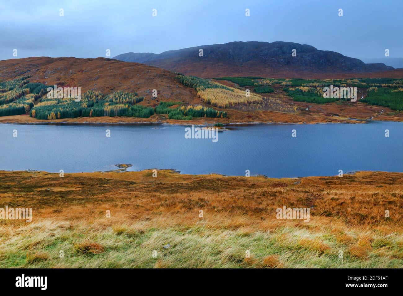 Autumn colours in Highlands, Scotland, Europe Stock Photo - Alamy