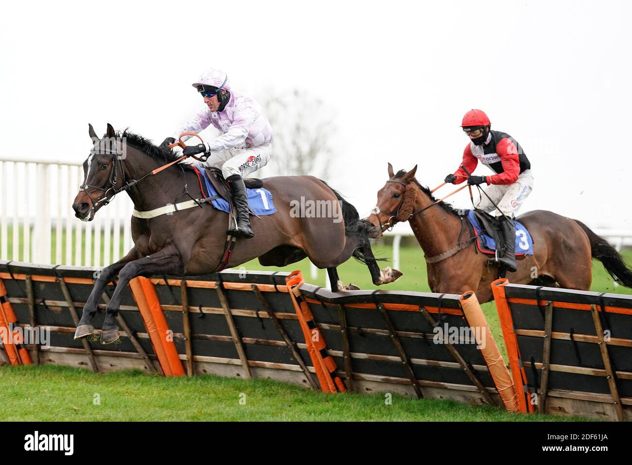 Striking a pose horse hi-res stock photography and images - Alamy