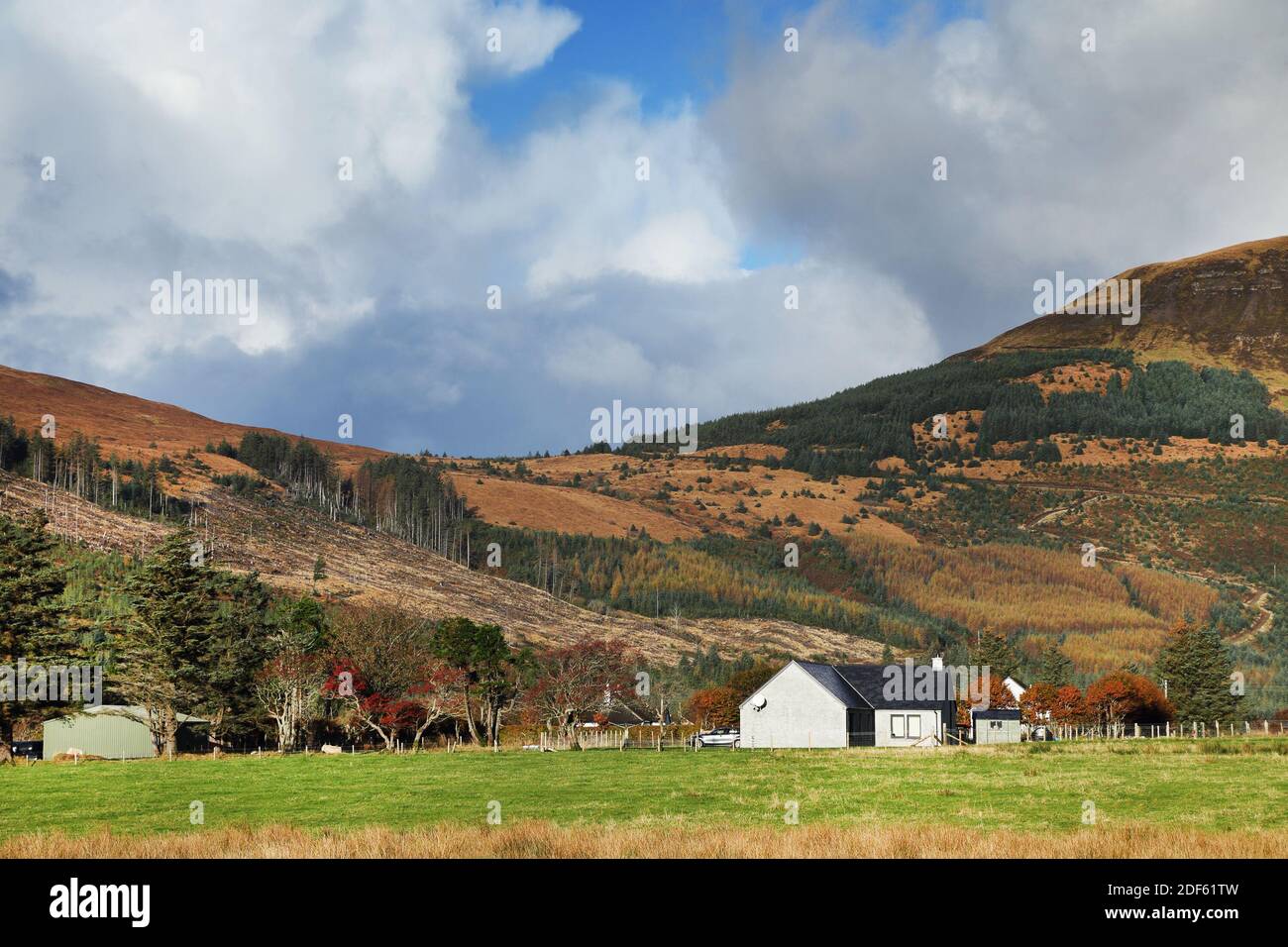 Autumn colours in Highlands, Scotland, Europe Stock Photo - Alamy
