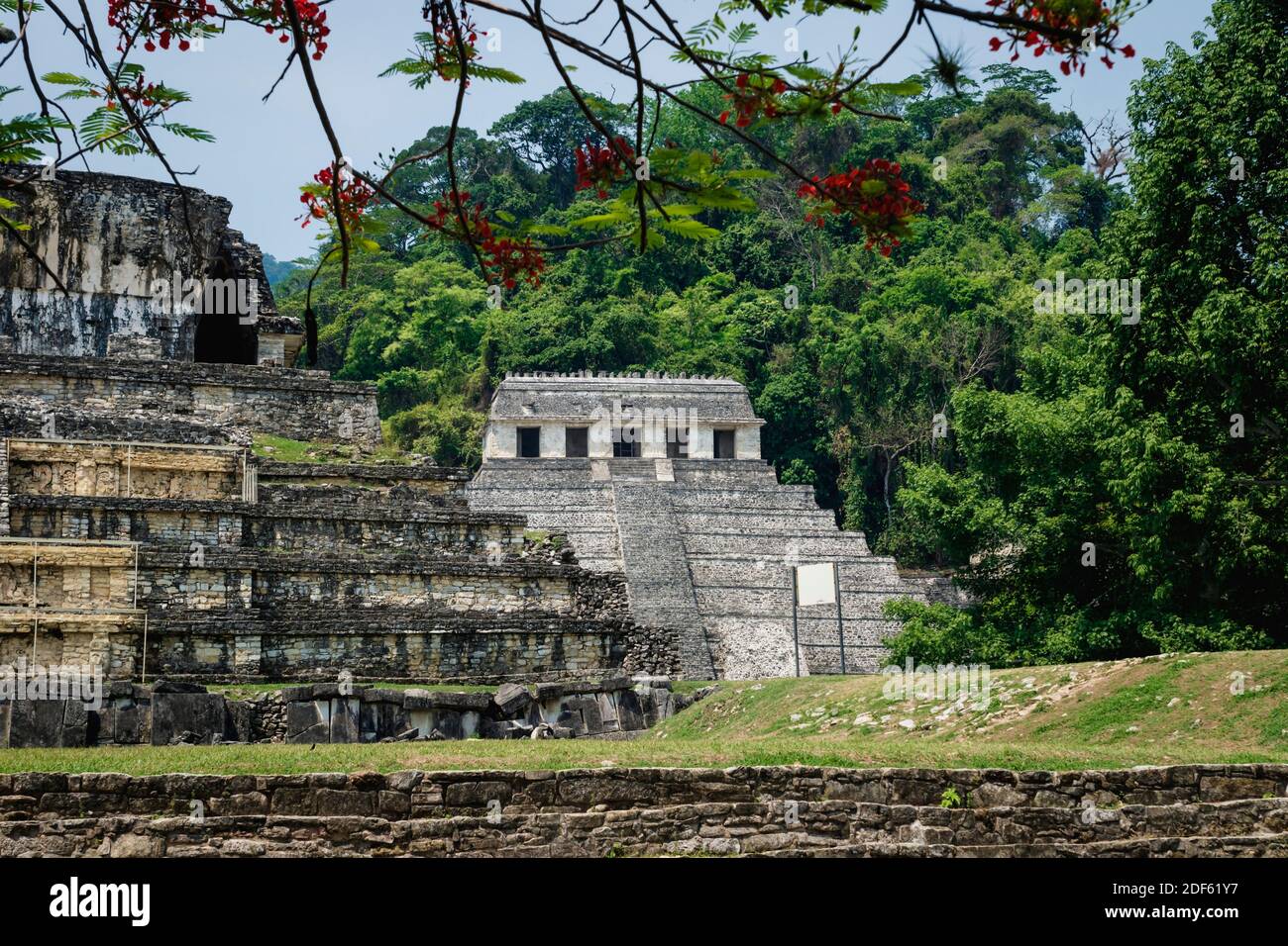 Temple of the inscriptions at the archaeological Mayan site surrounded ...