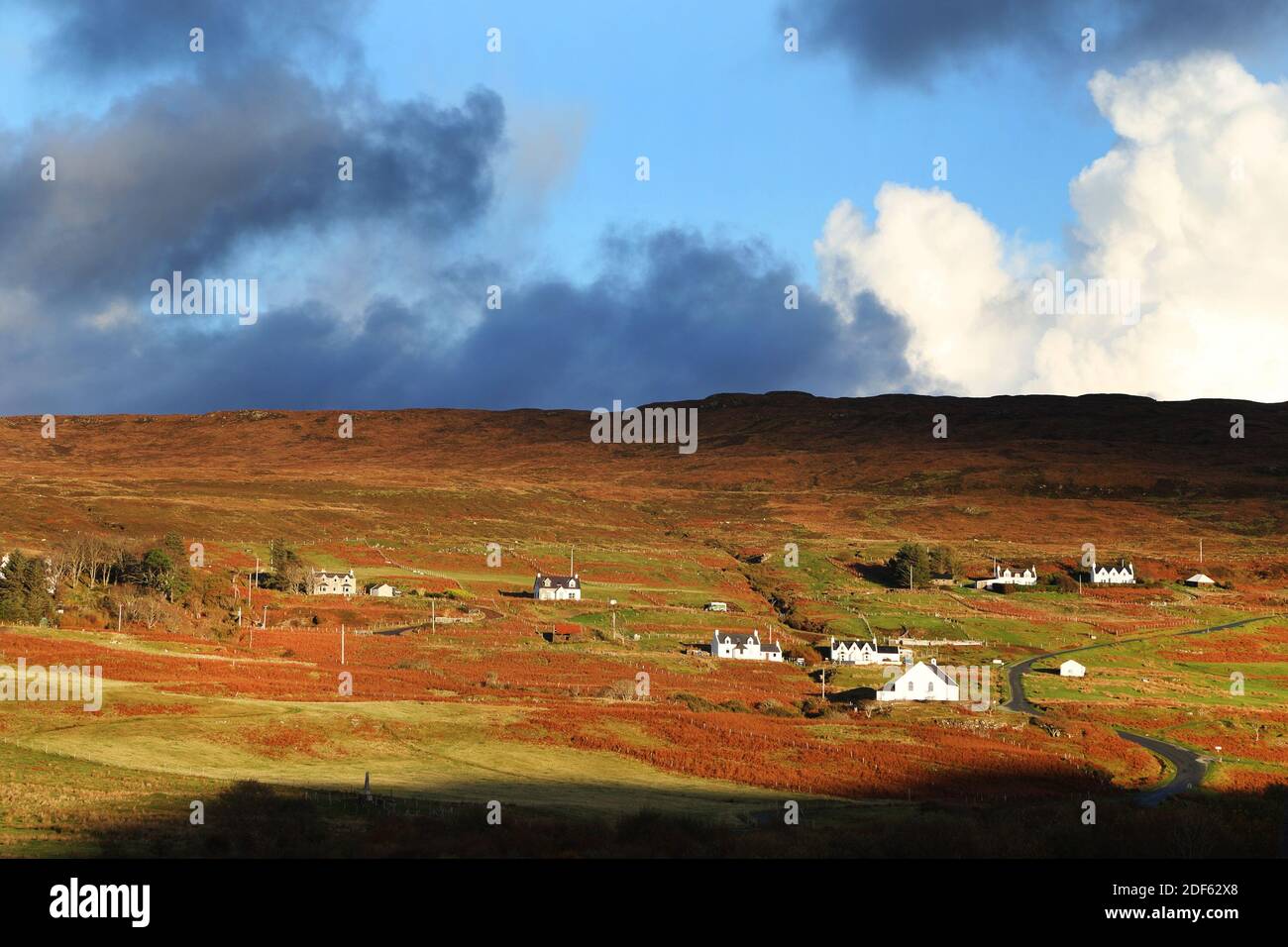 Autumn colours in Highlands, Scotland, Europe Stock Photo - Alamy