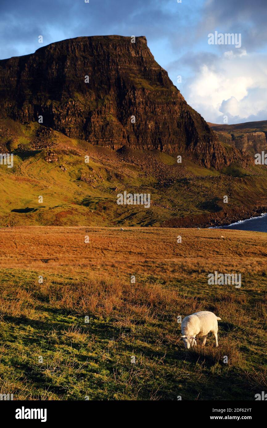 Autumn colours in Highlands, Scotland, Europe Stock Photo - Alamy