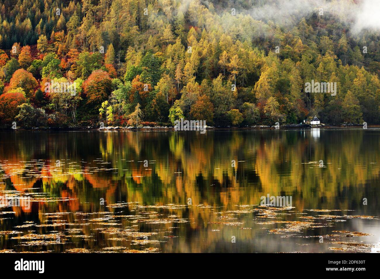 Autumn colours in Highlands, Scotland, Europe Stock Photo - Alamy