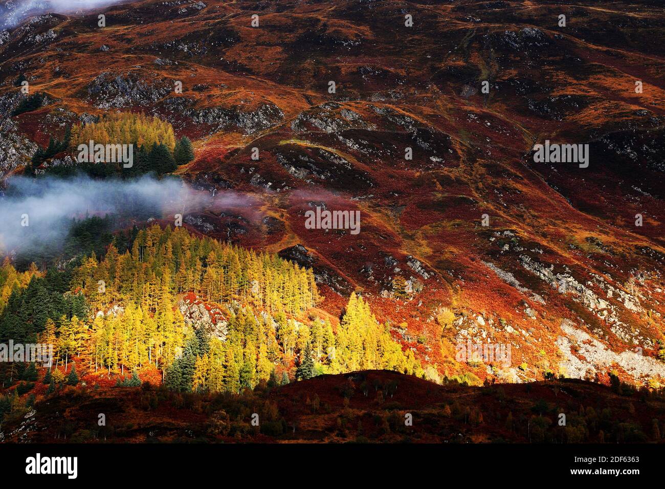 Autumn colours in Highlands, Scotland, Europe Stock Photo - Alamy