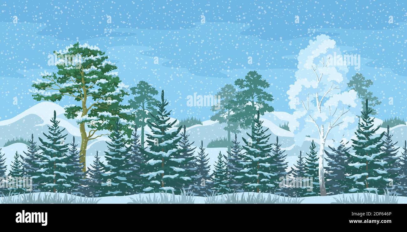 Seamless Horizontal Christmas Winter Forest Landscape with Pine, Birch ...