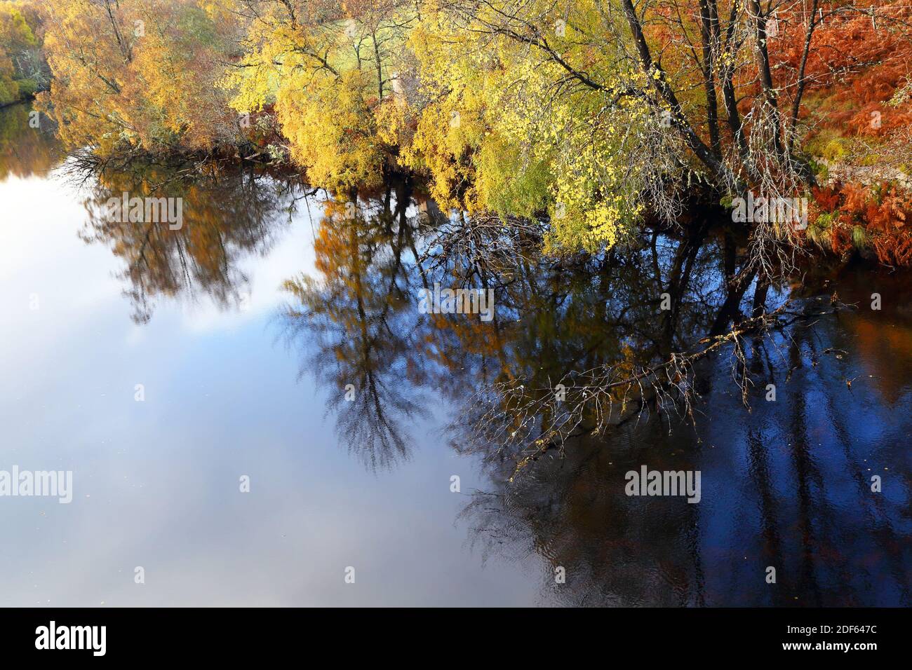 Autumn colours in Highlands, Scotland, Europe Stock Photo - Alamy
