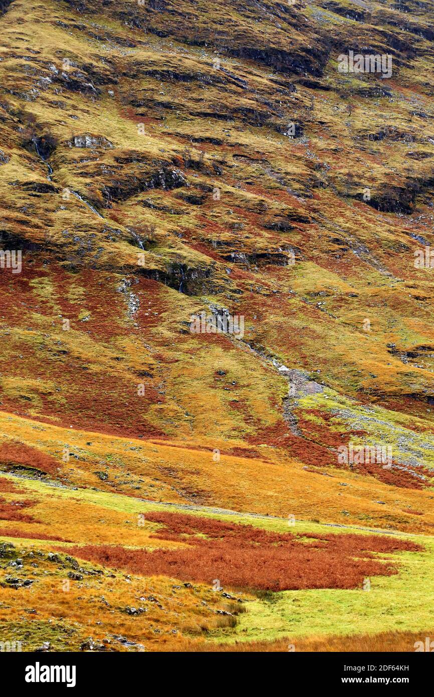 Autumn colours in Highlands, Scotland, Europe Stock Photo - Alamy