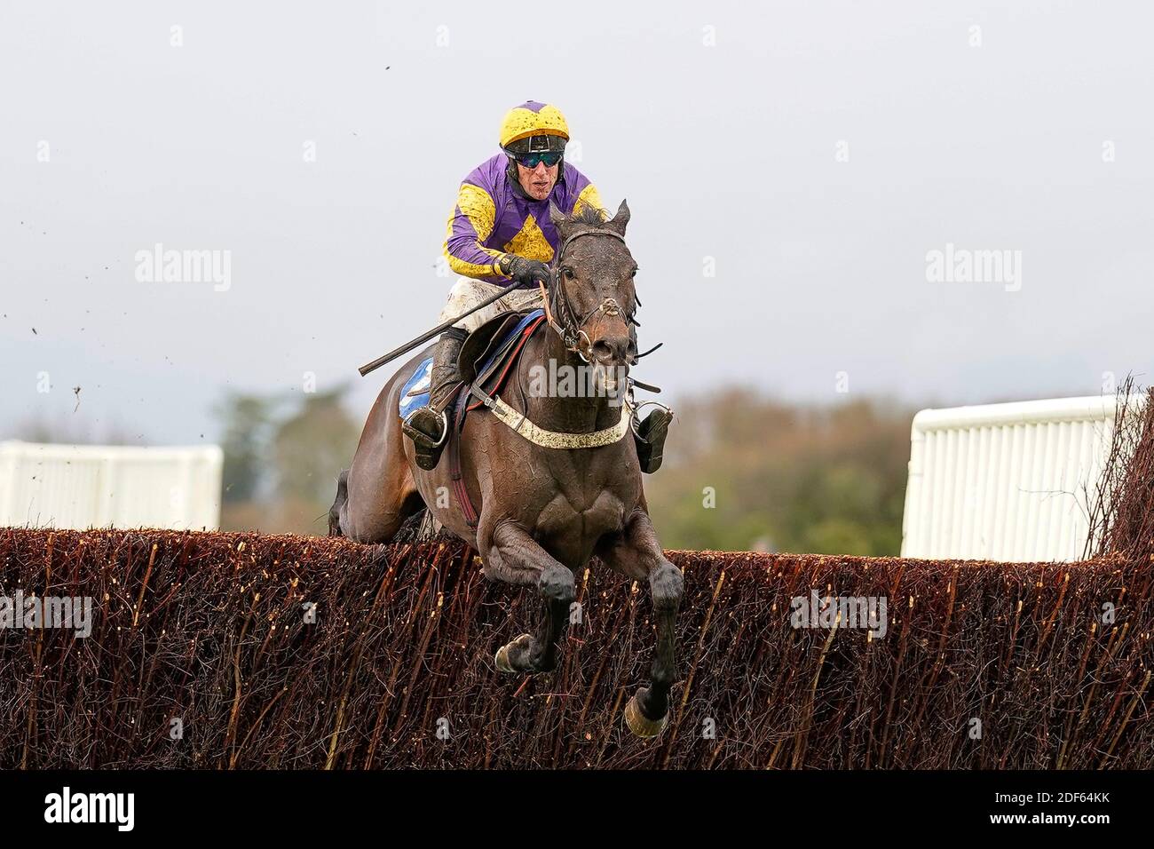 Silver buck handicap hi-res stock photography and images - Alamy