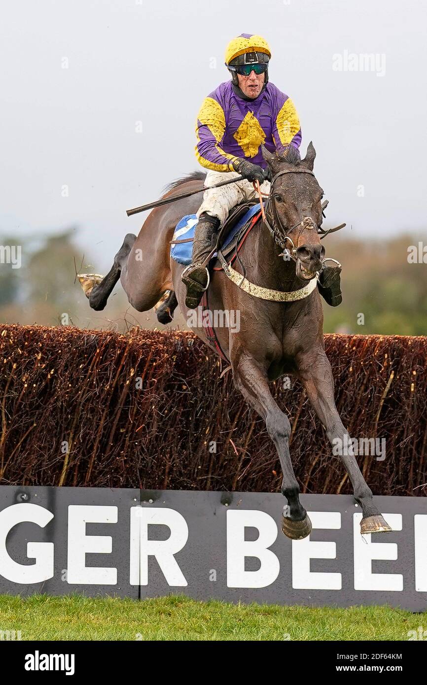 Silver buck handicap hi-res stock photography and images - Alamy
