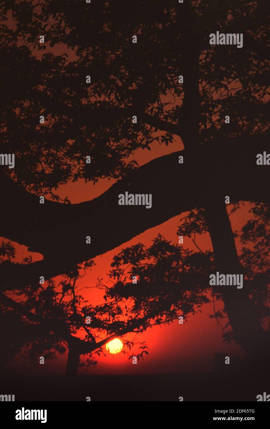 1990s Zimbabwe - Sunset seen from the Victoria Falls Hotel ca. 1996 ...