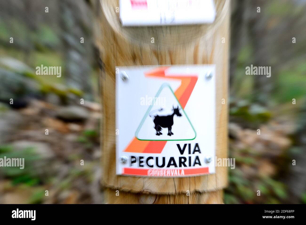 Cattle Road Sign High Resolution Stock Photography and Images - Alamy