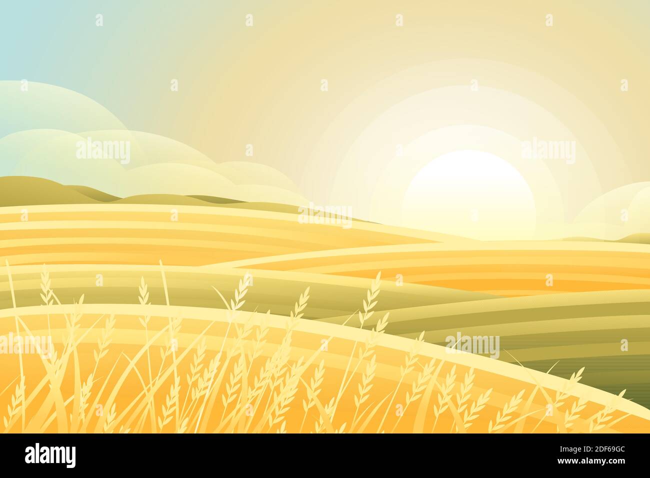 Rural morning landscape with hills and dales agricultural fields with ...