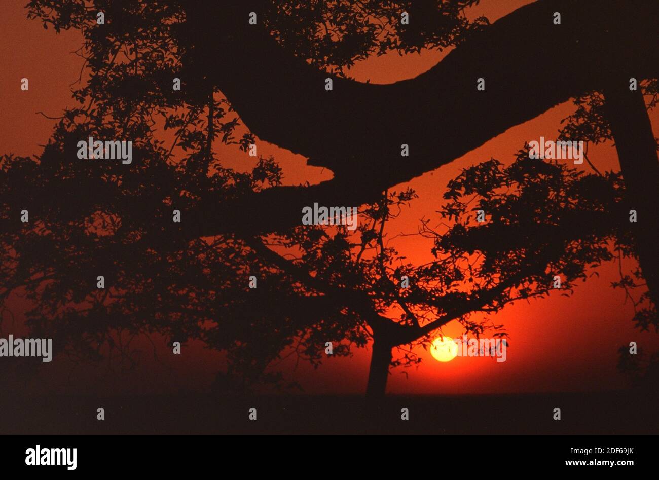 1990s Zimbabwe - Orange sunrise seen from Victoria Falls Hotel ca. 1998 ...