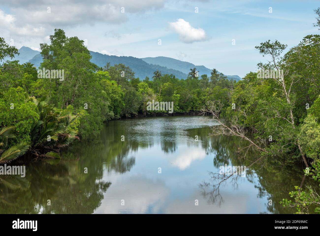 Matang hi-res stock photography and images - Alamy