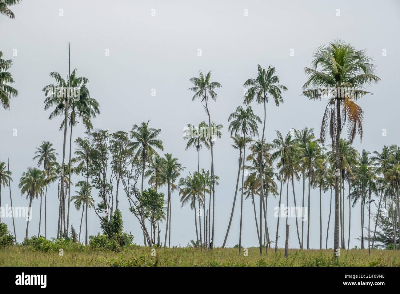 Garden Beach, Telaga Air, Matang, Sarawak, East Malaysia Stock Photo ...