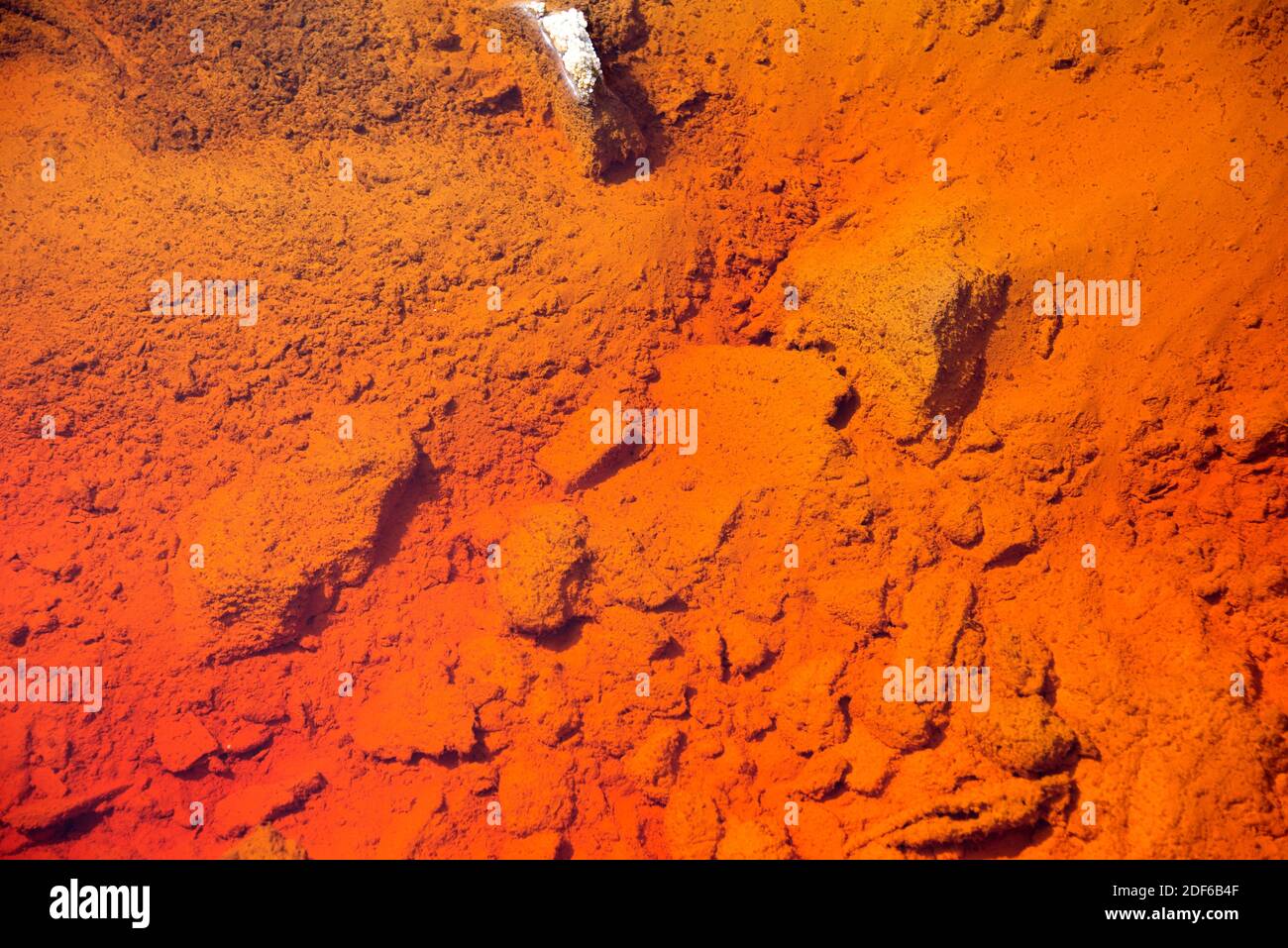 Extremophilic bacteria hi-res stock photography and images - Alamy