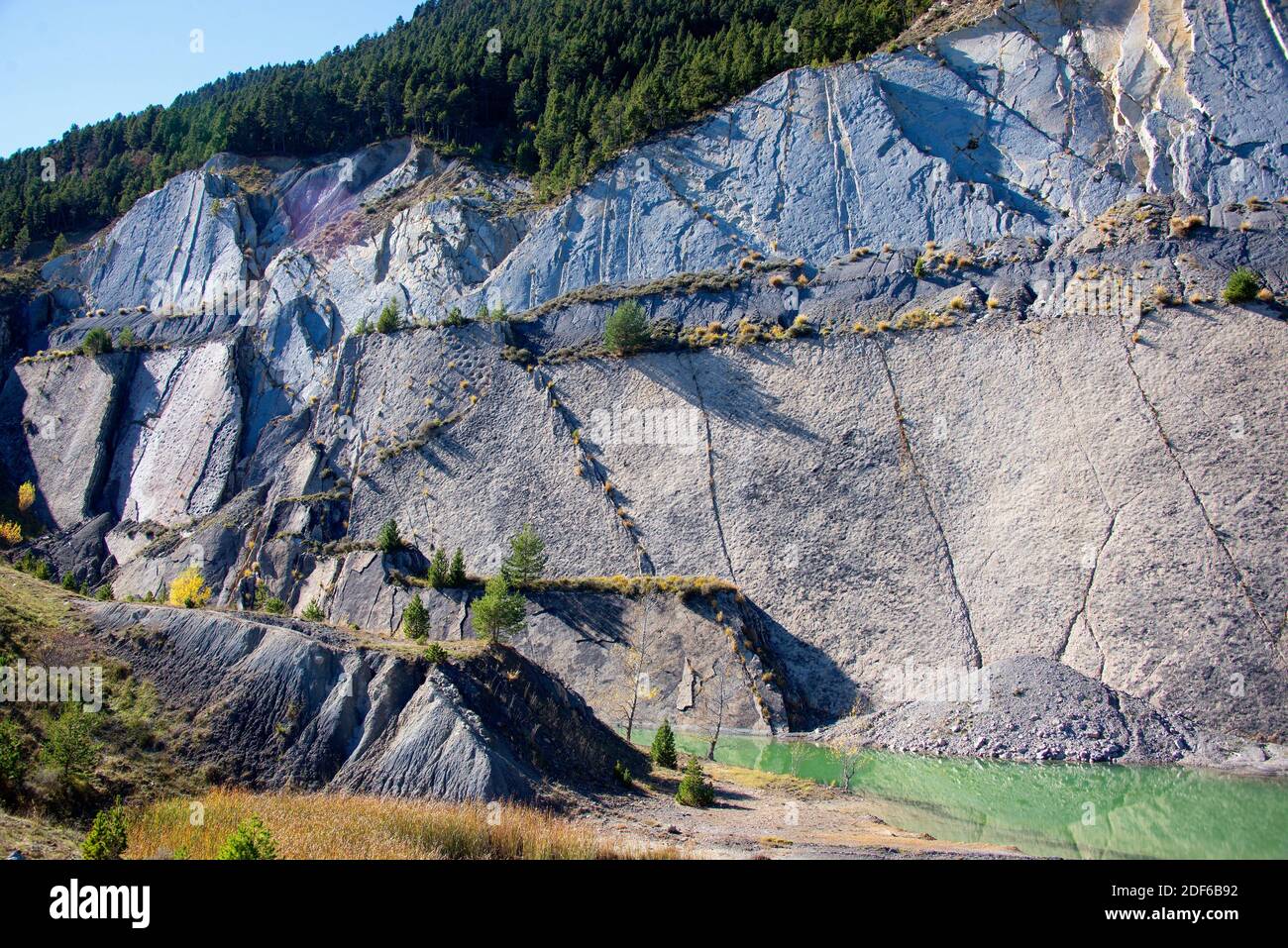 Ichnofossil footprint hi-res stock photography and images - Alamy