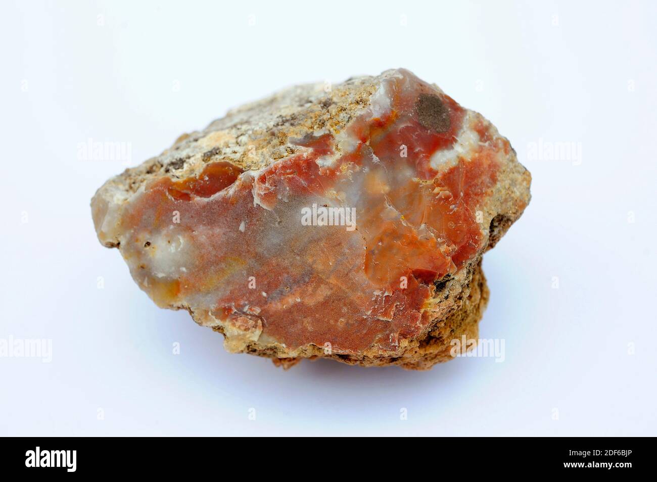 Chert Sedimentary Rock