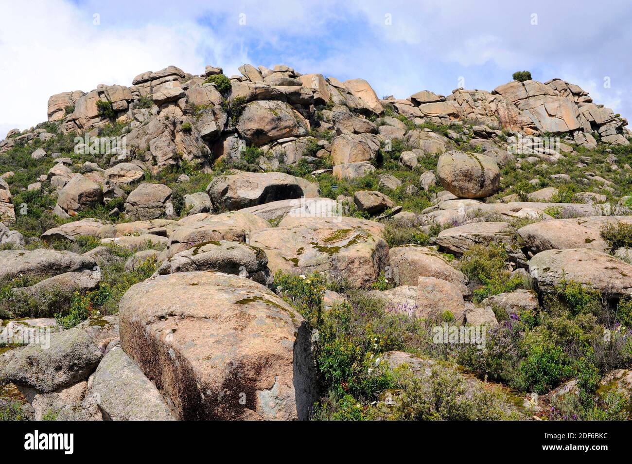 Kopje landscape hi-res stock photography and images - Alamy