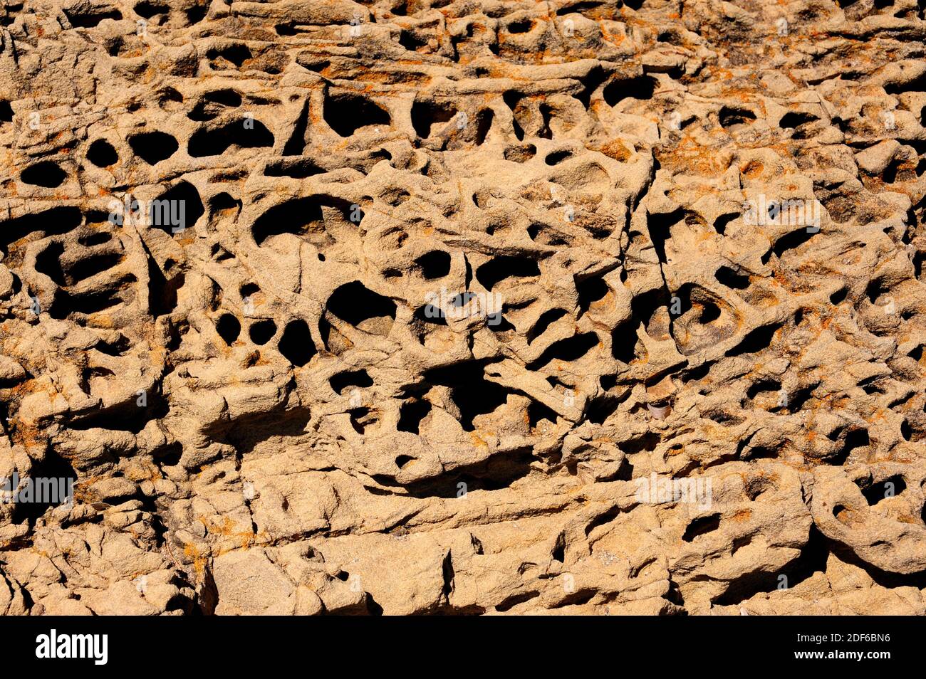 Rock alveoli hi-res stock photography and images - Alamy