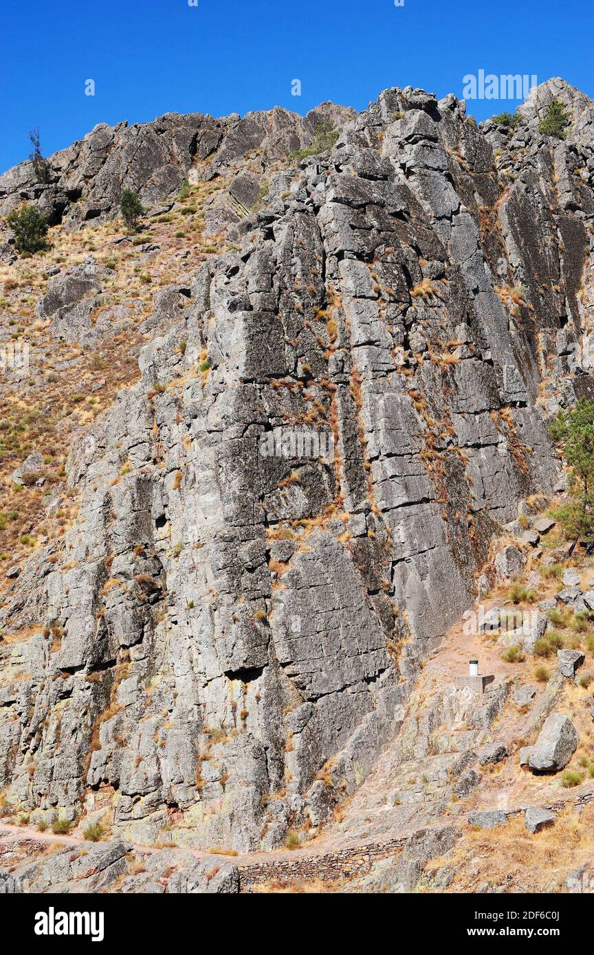 Quartz Sandstone Rock