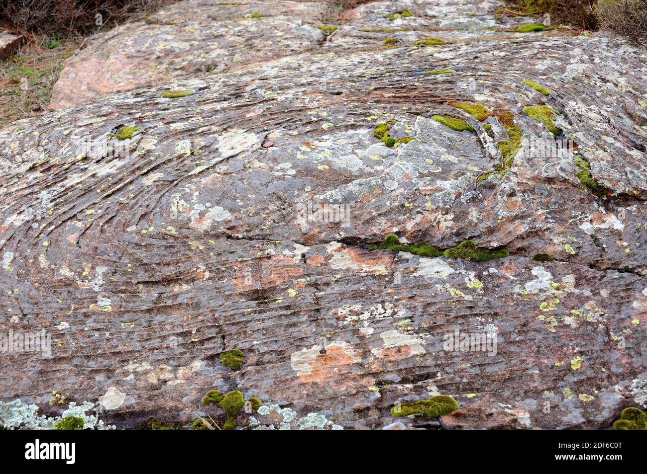 Liesegang ring hi-res stock photography and images - Alamy