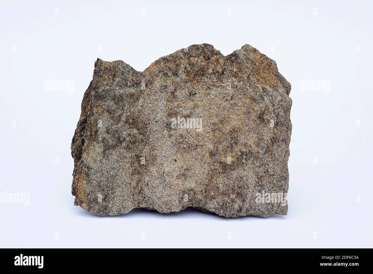 Mica schist metamorphic rock hi-res stock photography and images - Alamy