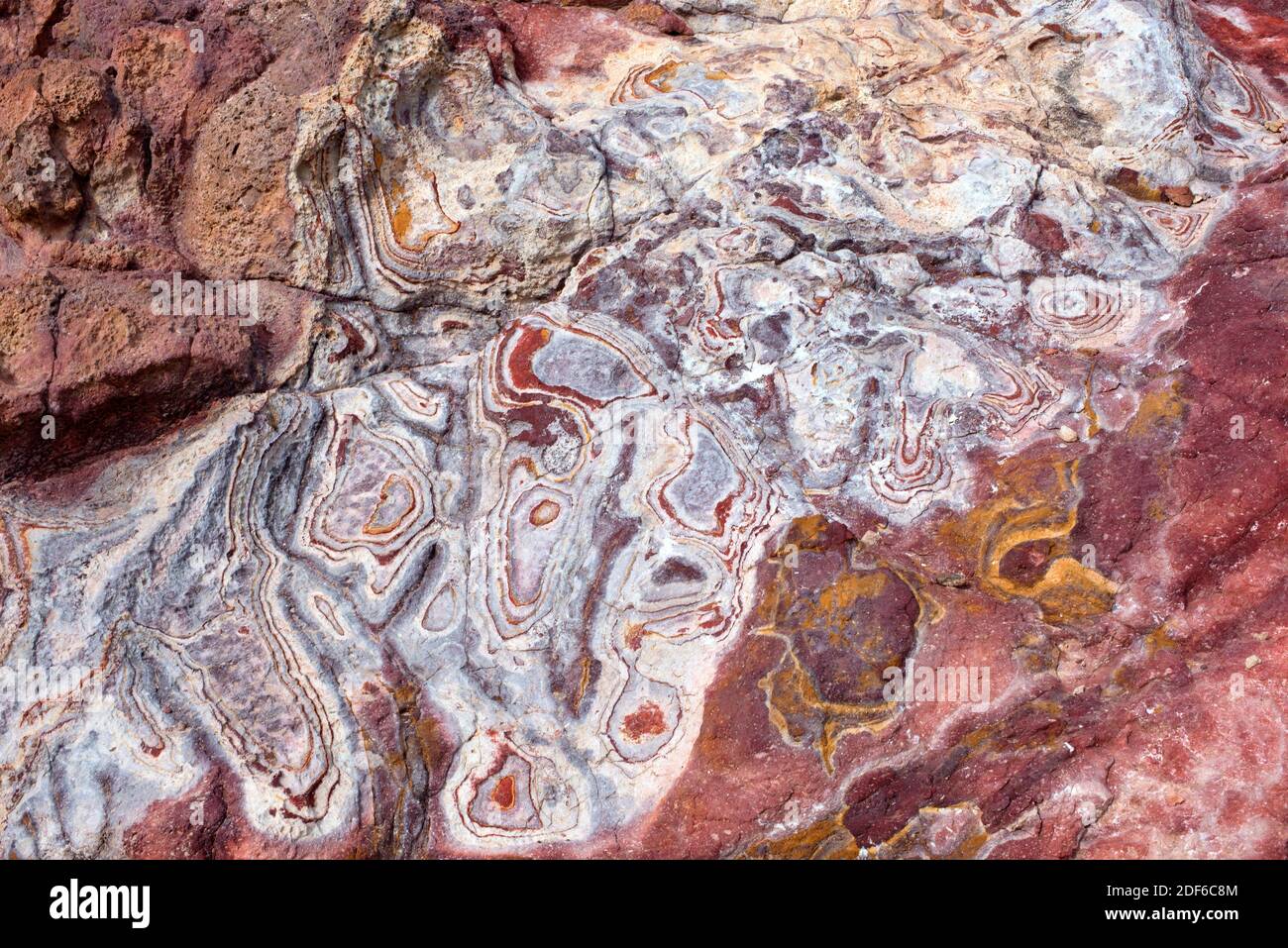 Liesegang ring hi-res stock photography and images - Alamy