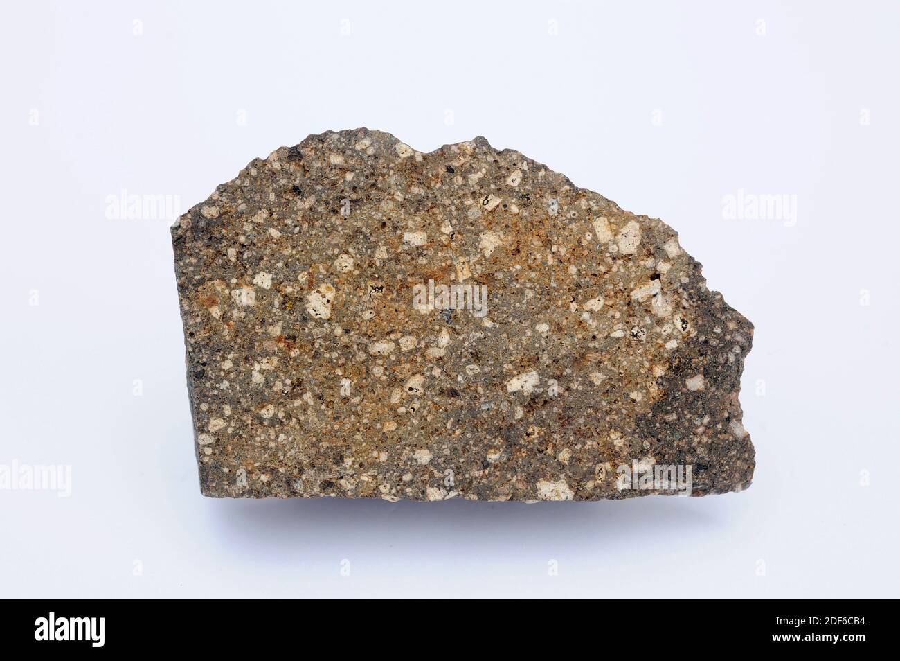 Rhyolite rock sample igneous hi-res stock photography and images - Alamy