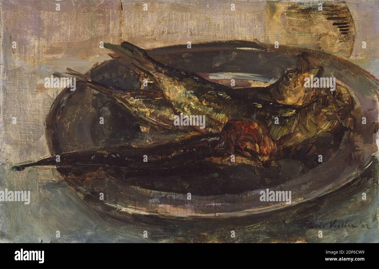 Floris verster 02 hi-res stock photography and images - Alamy