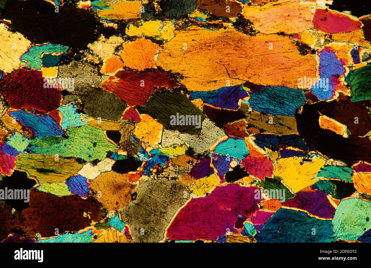 Hornblende Schist Thin Section