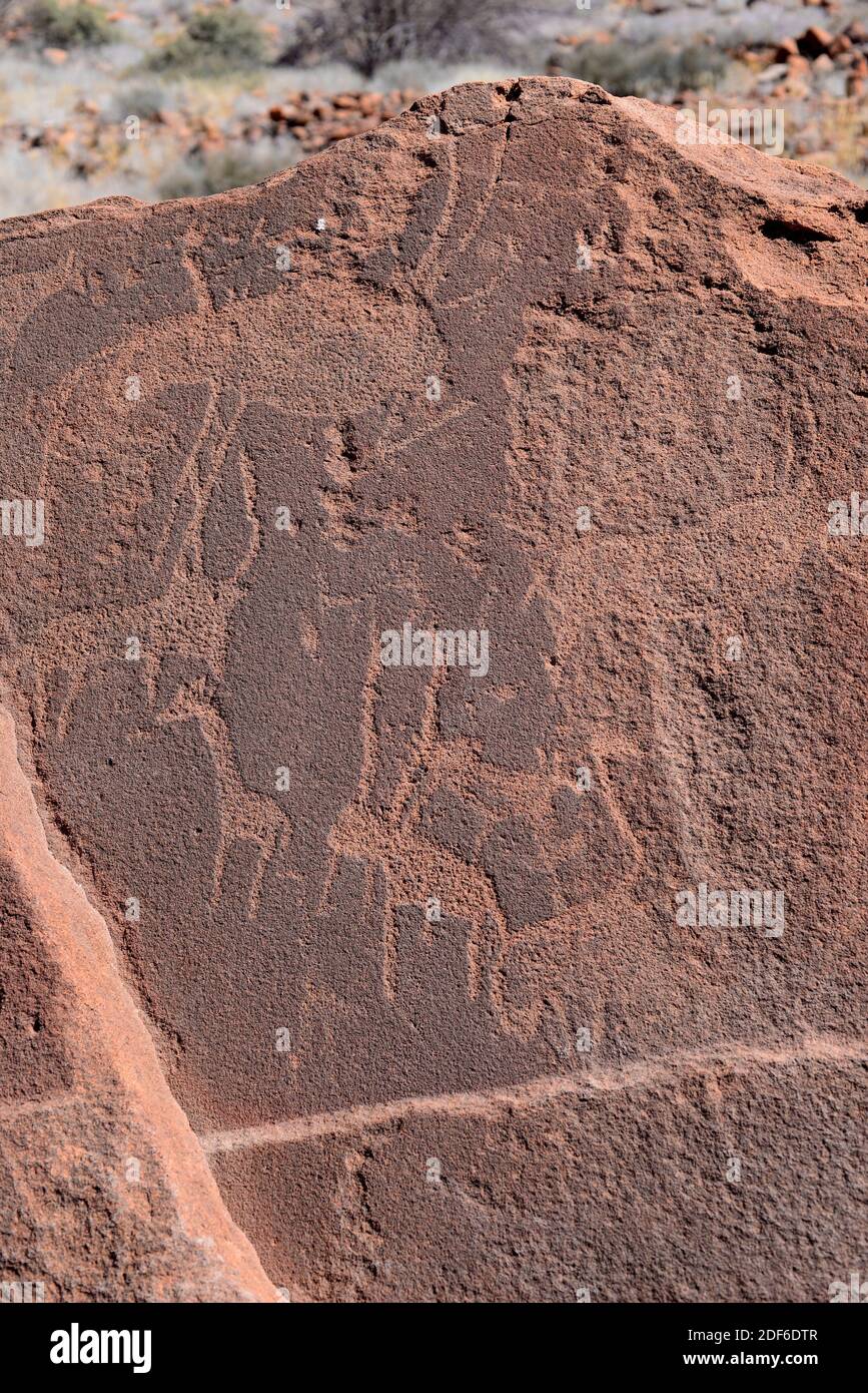 Petroglyphs engraving image drawn or painted hi-res stock photography ...