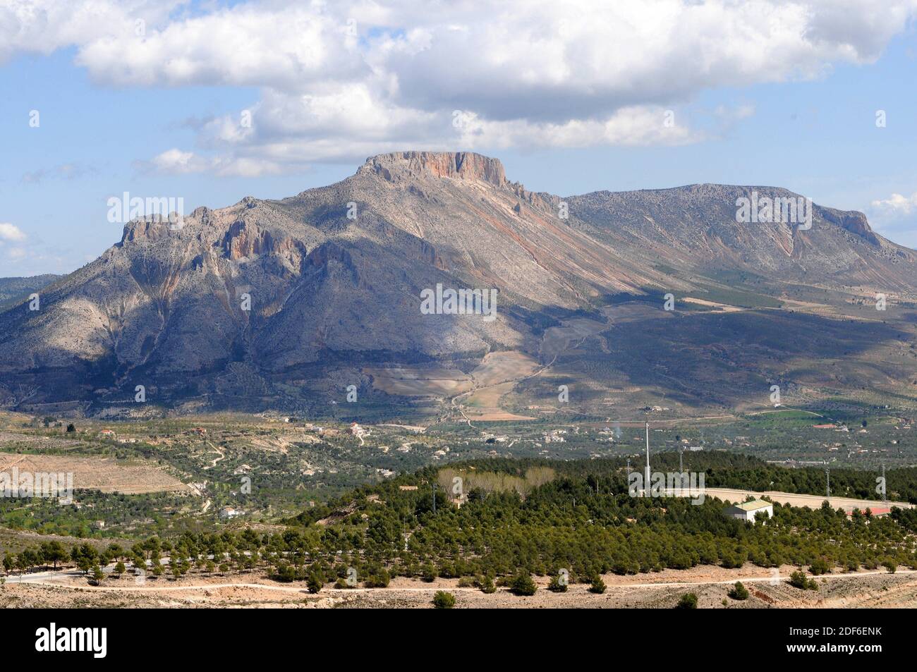 Maimon High Resolution Stock Photography and Images - Alamy