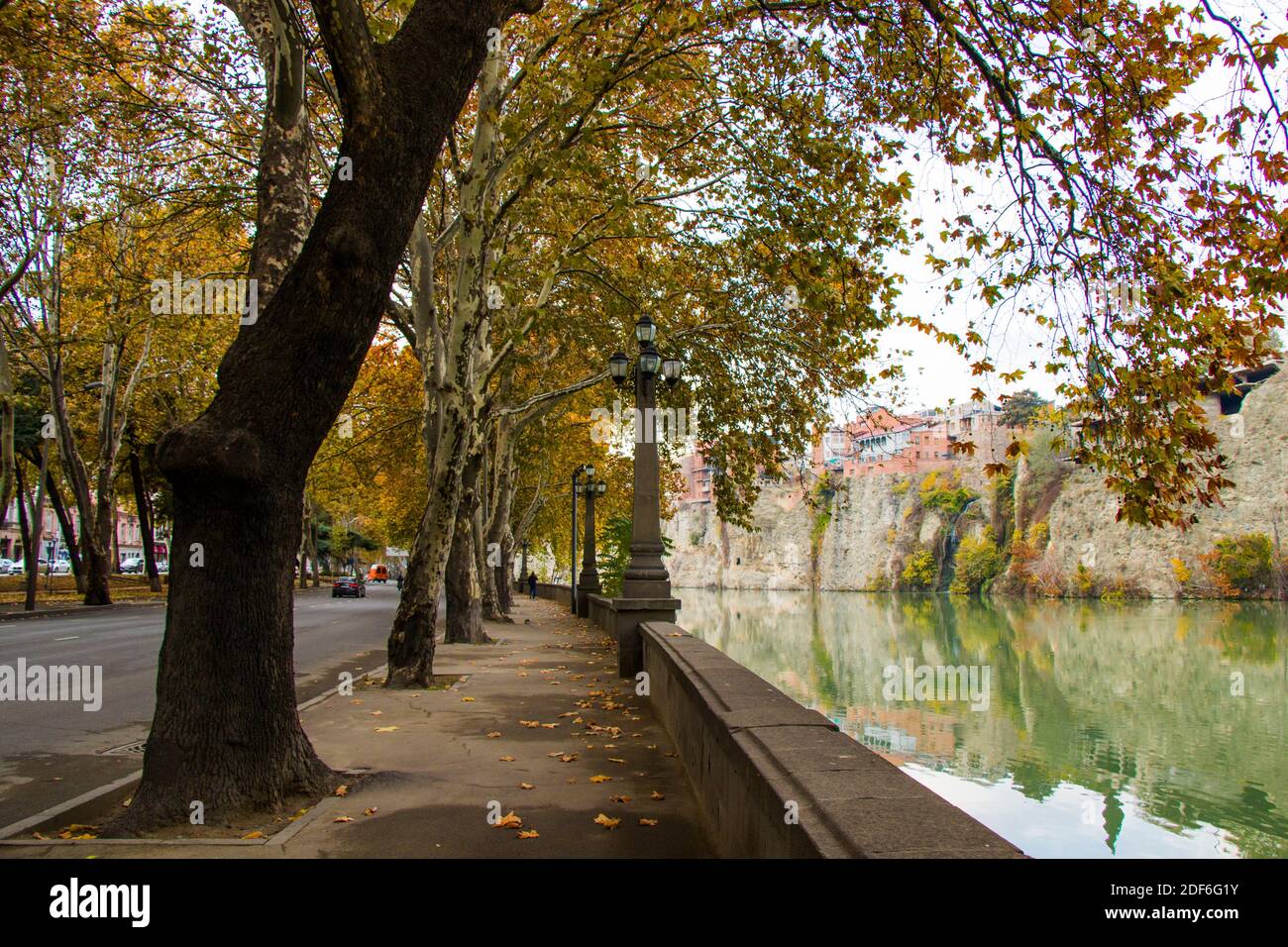 Ash-tree park landscape and view in Tbilisi, Georgia. Autumn theme ...