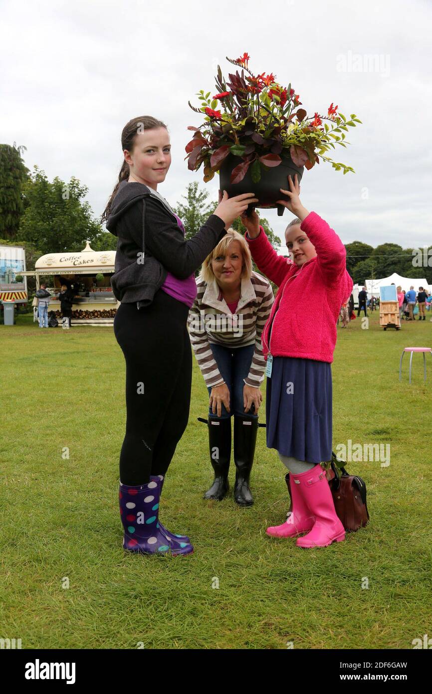 Ayr Flower show 2015, Ayrshire, Scotland, UK Stock Photo - Alamy