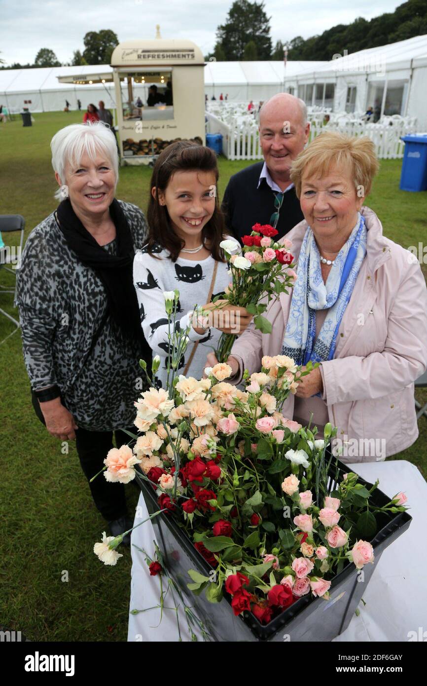 Ayr Flower show 2015, Ayrshire, Scotland, UK Stock Photo - Alamy